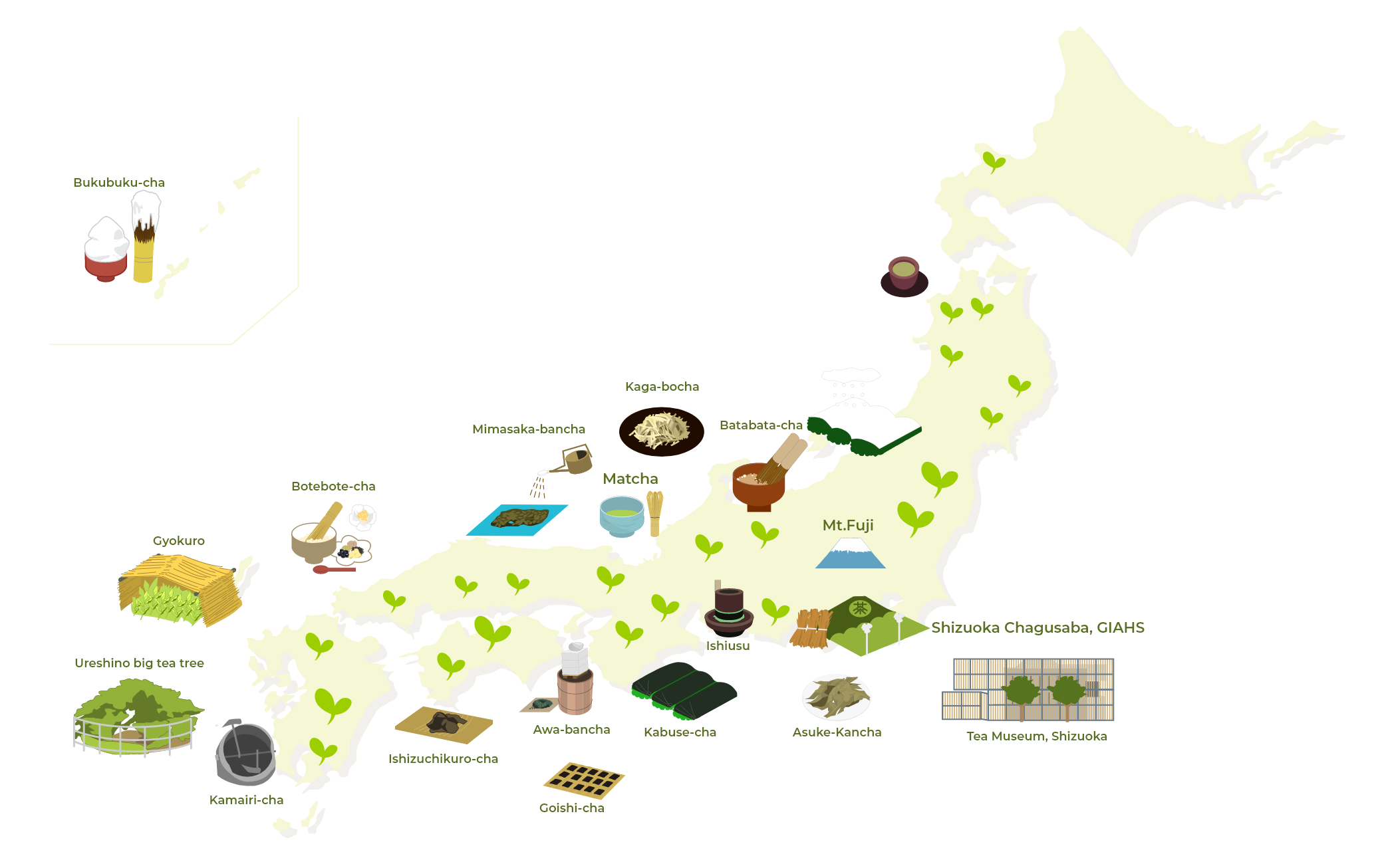 Teas of Japan｜Drink LEAF TEA and Protect Nature｜CHAMART