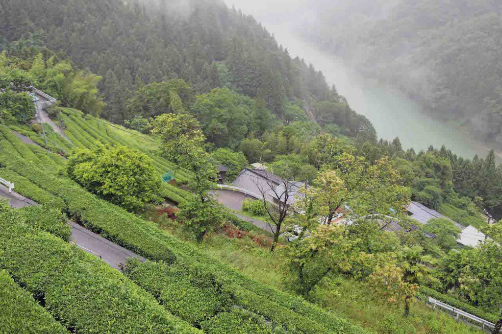 Nagano｜Drink LEAF TEA and Protect Nature｜CHAMART