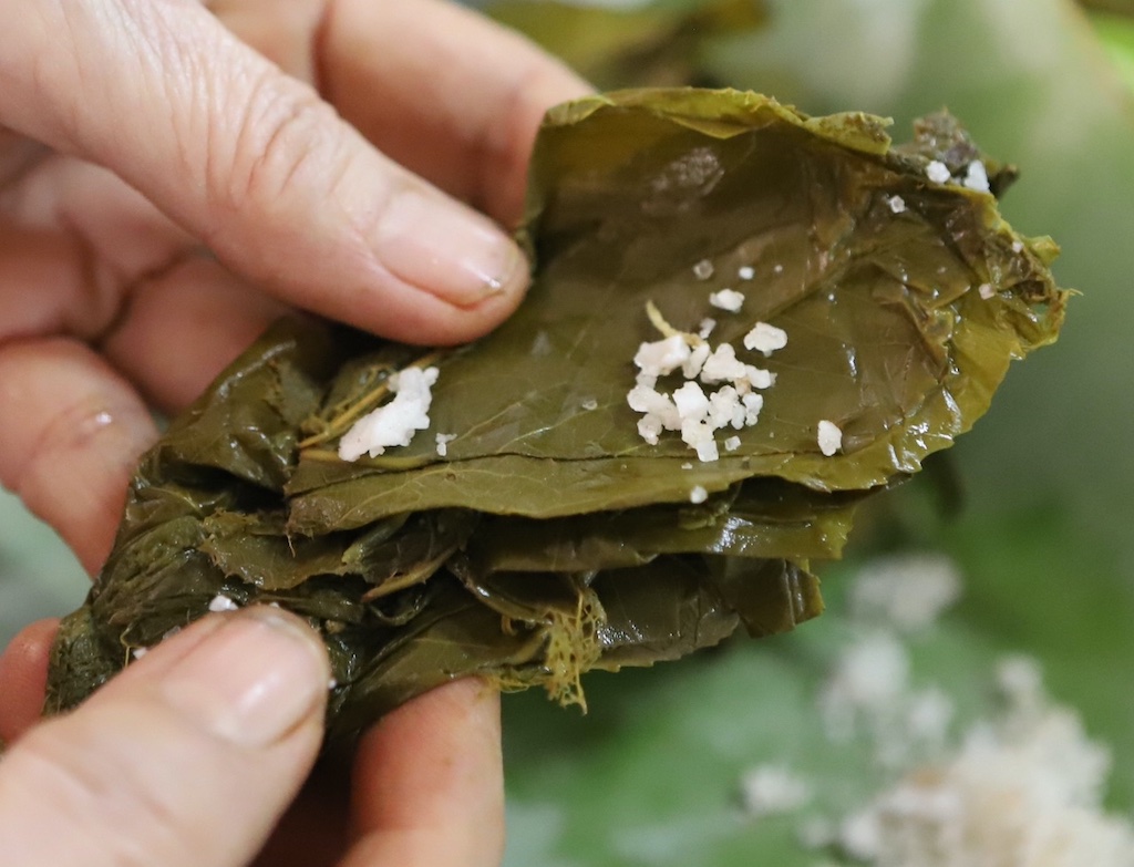 Miang (Thailand)｜Drink LEAF TEA and Protect Nature｜CHAMART